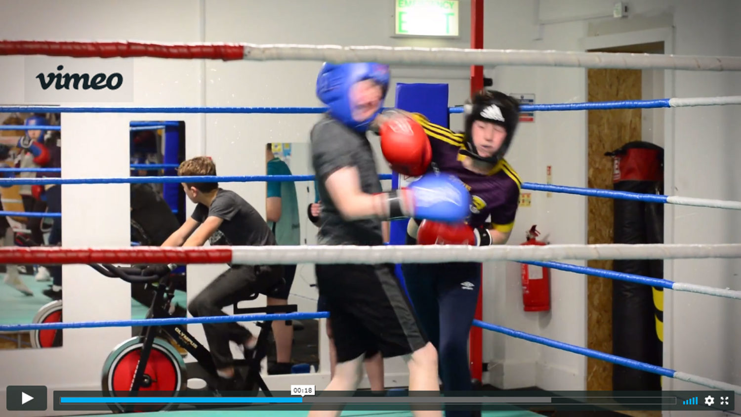 Video and website for Rosslare Boxing Club , website design Wexford